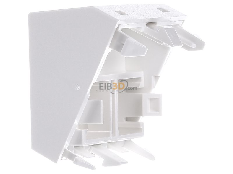 eibmarkt.com - Cover plate DTS-2RM RW1